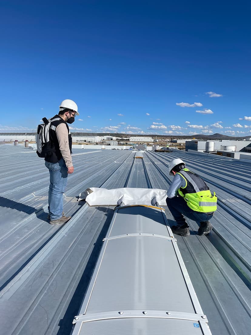 THREE | Environmental Consulting | Mexico & USA | Inspire and generate passion for ...